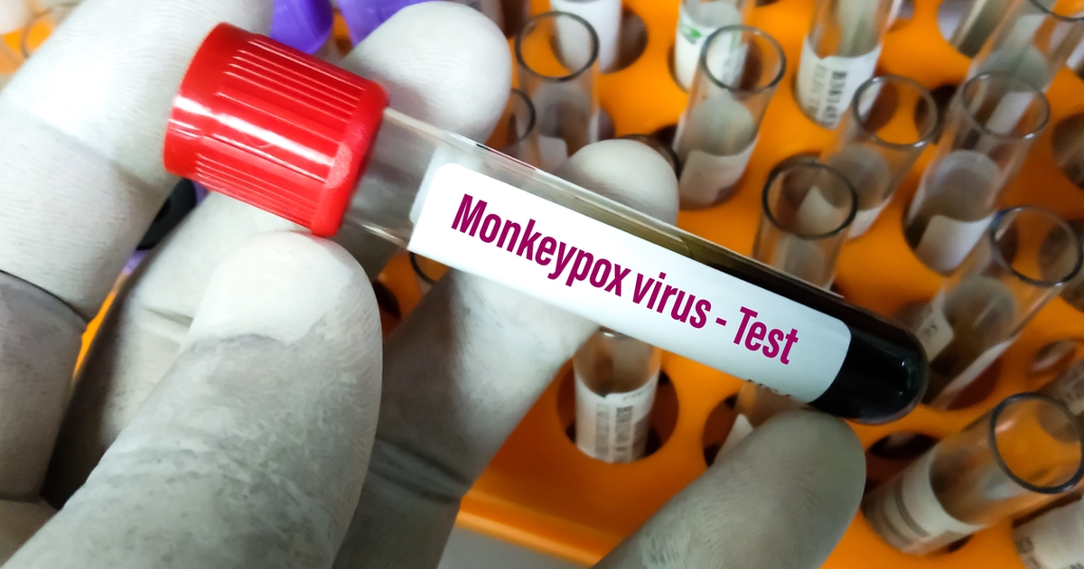 Abekopper spreder sig i Danmark: Flere tilfælde undersøges, et nyt ...