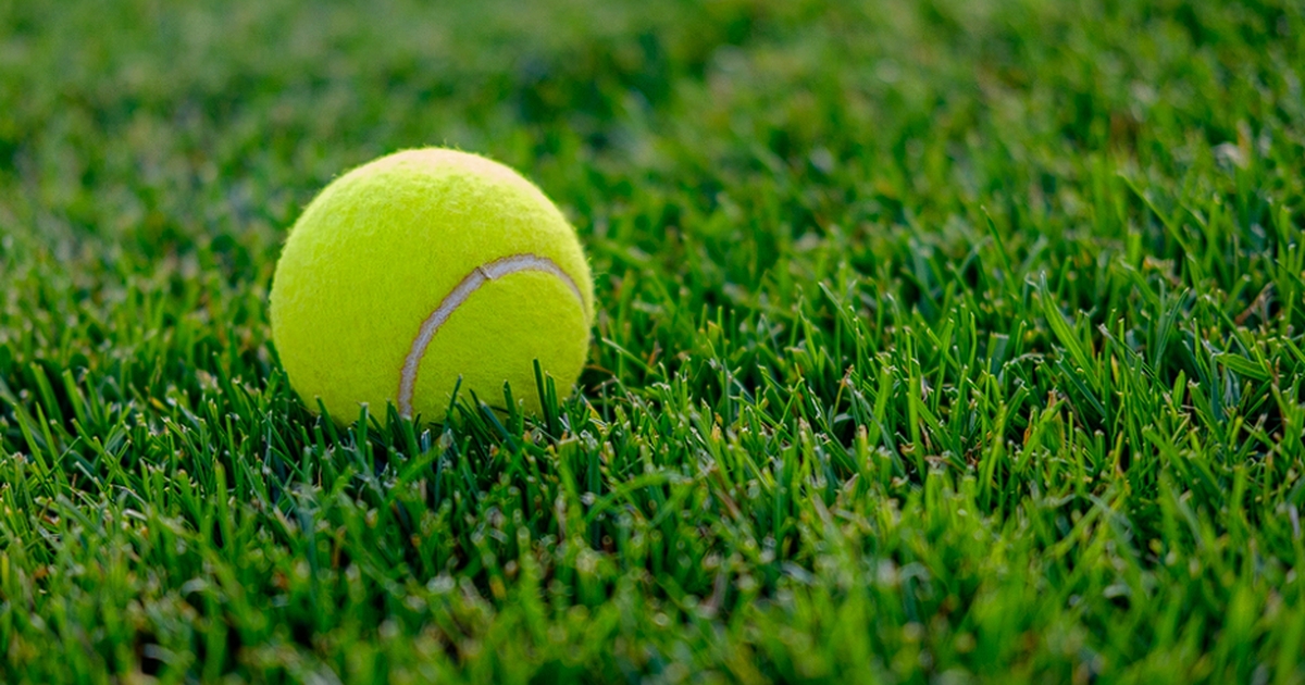 Warum lassen die Engländer alte Tennisbälle im Winter in ihren Gärten liegen - jeder sollte es ...