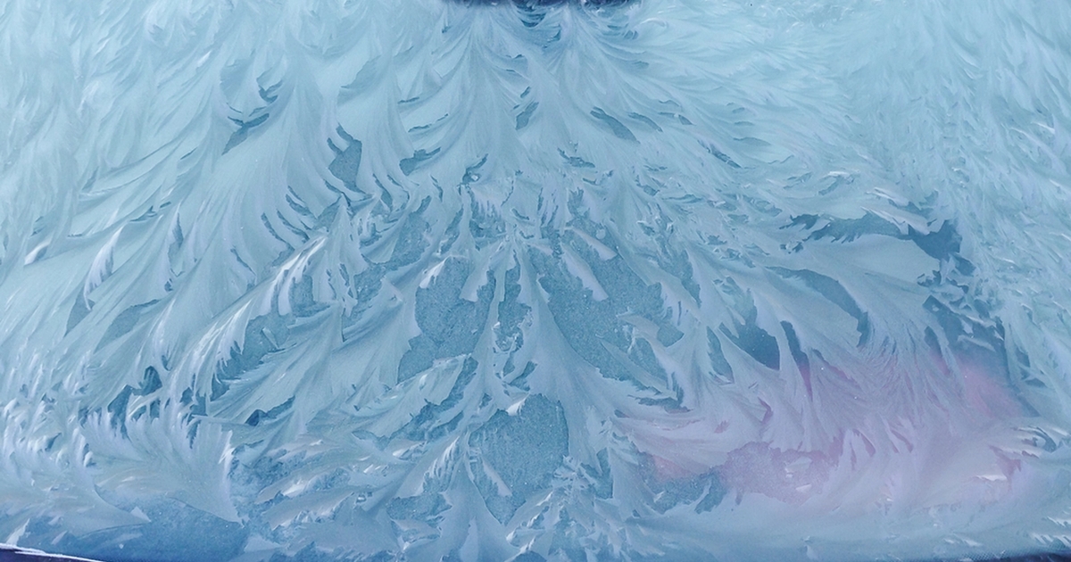 Mann gnir kuttet potet på frossen frontrute: Så skjer magien