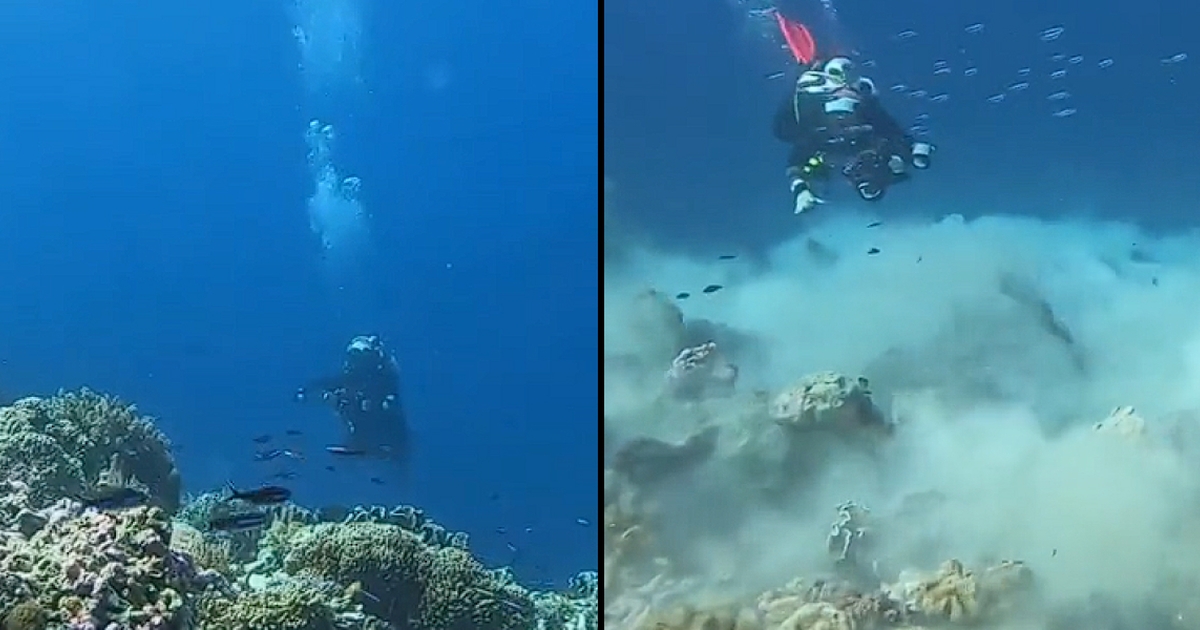 Astonishing video reveals what happens when earthquake strikes underwater