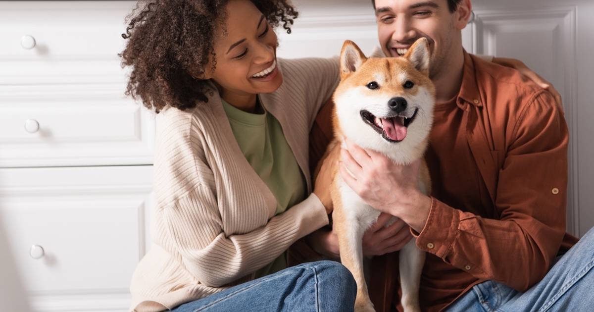 Unconditional Love: 11 Signs That Your Dog Loves You