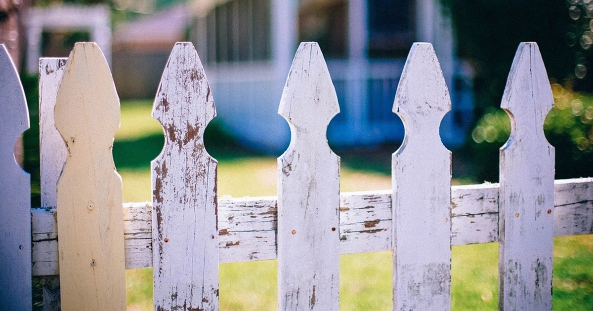 Kvinde chokeret: Nabo sniger sig ind i hendes have og fælder et træ