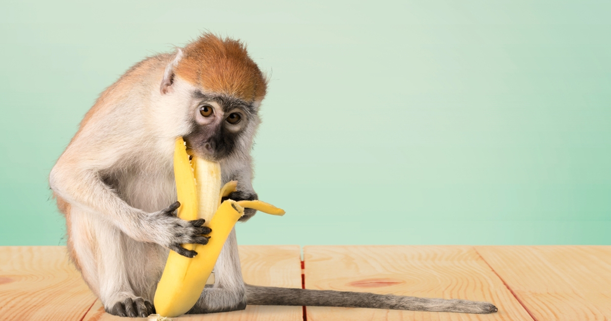 Har du spist banan feil hele livet? Ekspertens metode er overraskende morsom