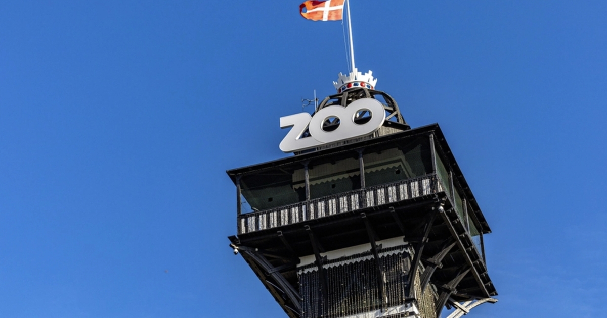 København Zoo tager stort skridt: Vil redde truede dyr