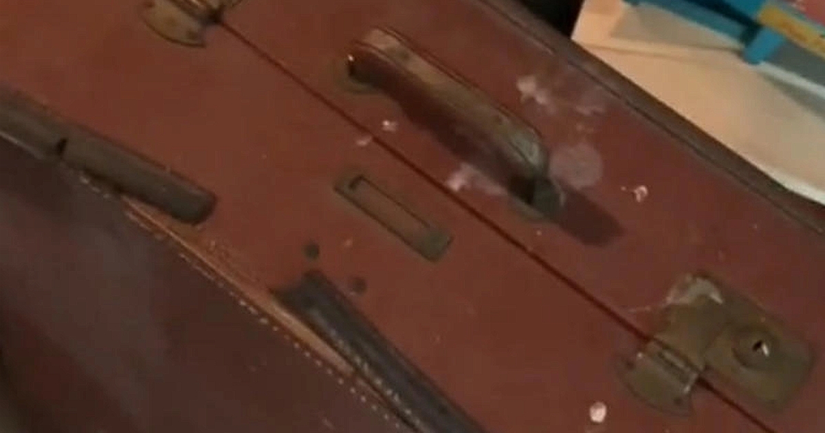 Woman discovers suitcase hidden in attic for 20 years: The contents ...
