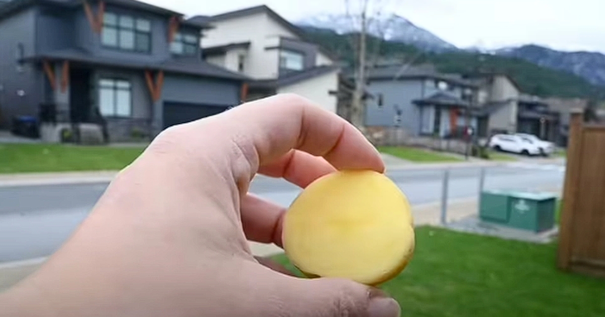 Advice for Car Owners: Why You Should Rub Your Windows with a Potato