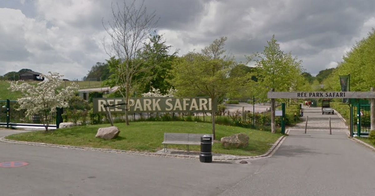 Ree Park udsender efterlysning: Hjælp os med at finde dem