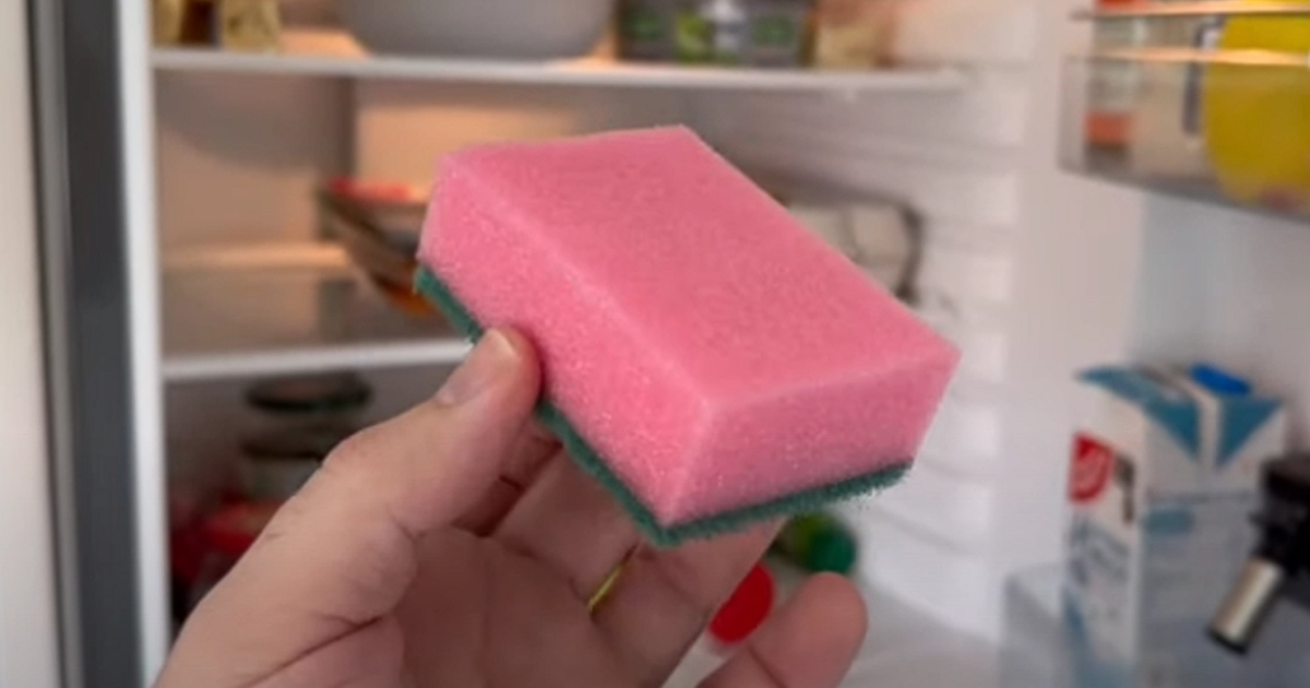 Did You Know? The Color of Your Dishwashing Sponge Actually Has a Purpose