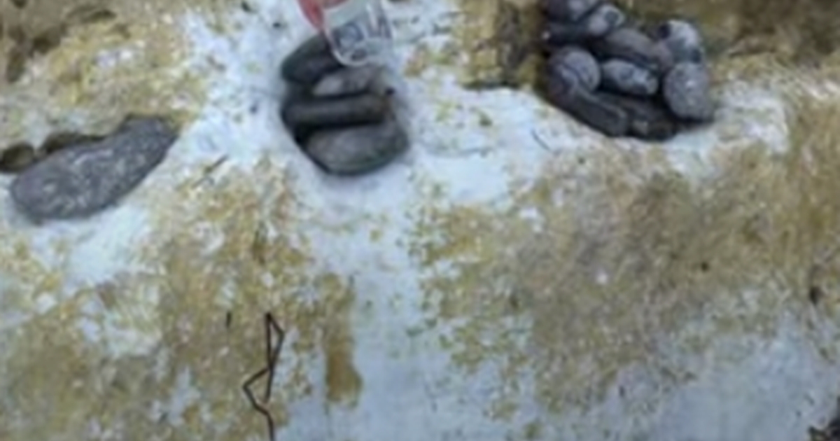 Her er det sket: Nu er årets første 'sne' faldet i Danmark