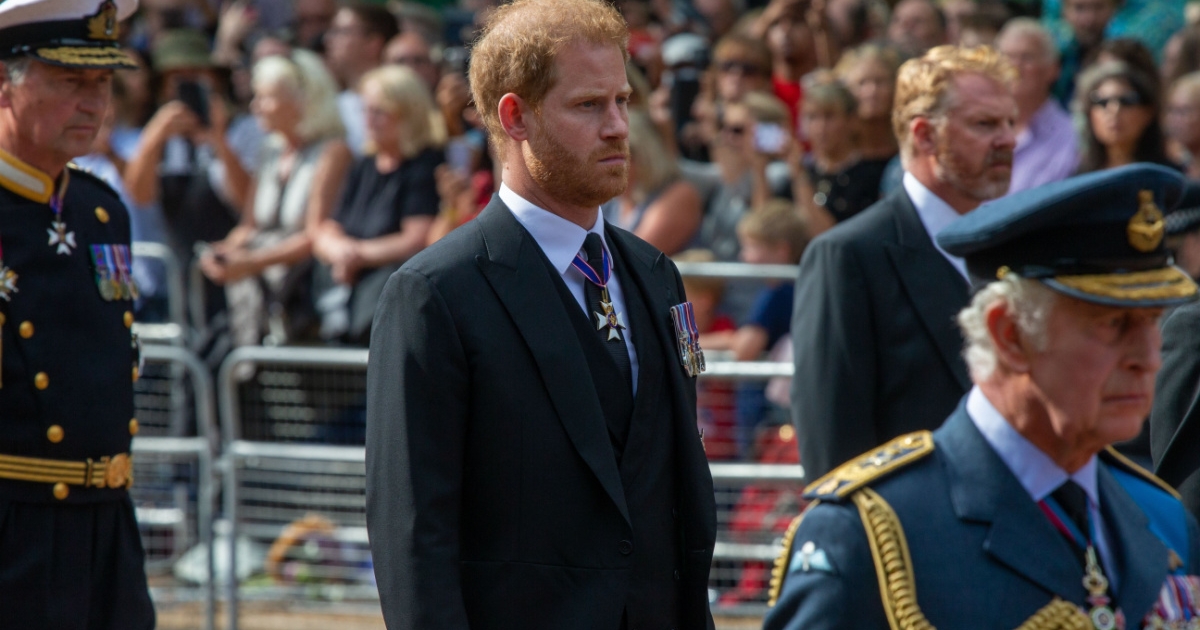 Læge efter onlinesamtale med Prins Harry: Har en buket af diagnoser