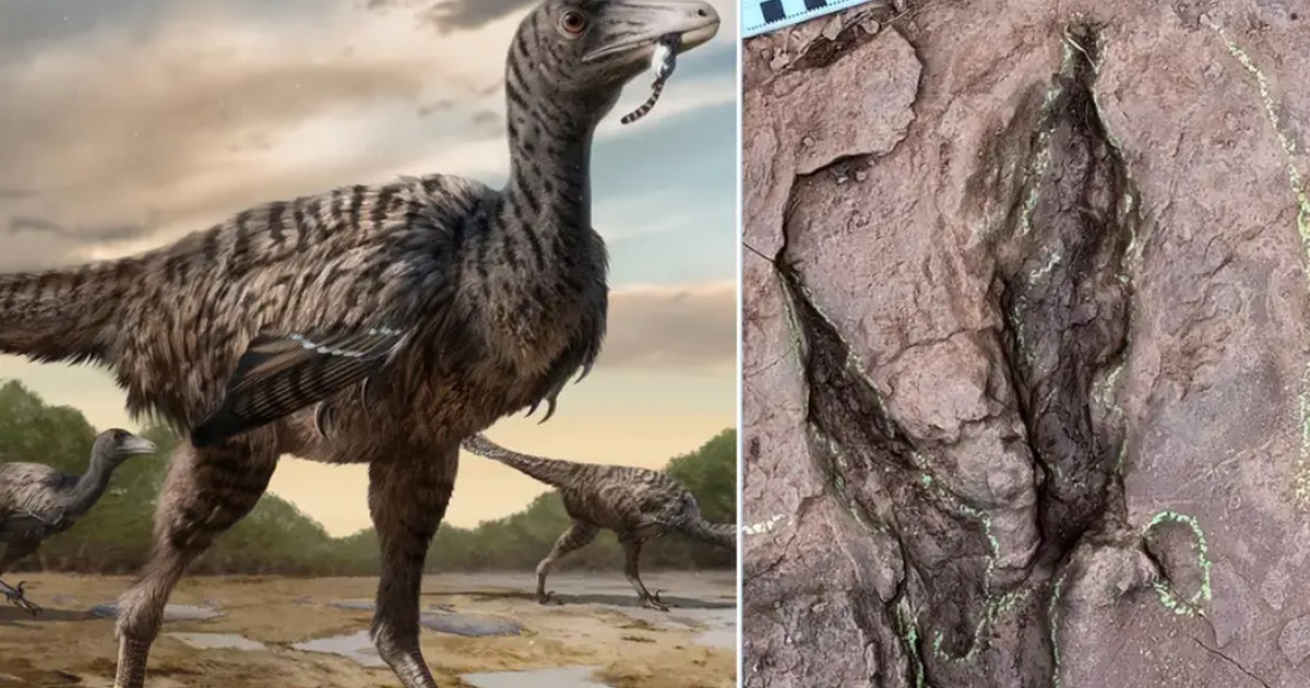 Giant Raptor Discovered: Footprints Indicate New Dinosaur Species in China