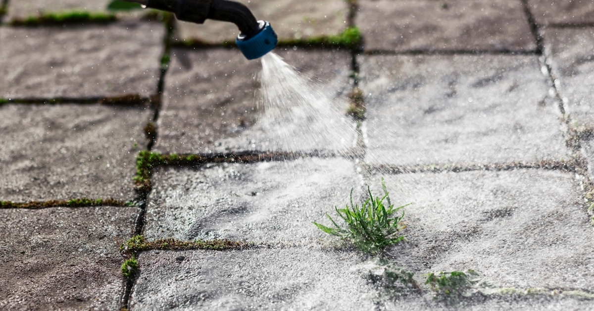 Gartnerens favoritt-triks mot ugress er faktisk ulovlig