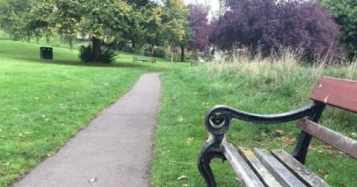 Næsten ingen finder den med det samme: Der er en hund på dette billede