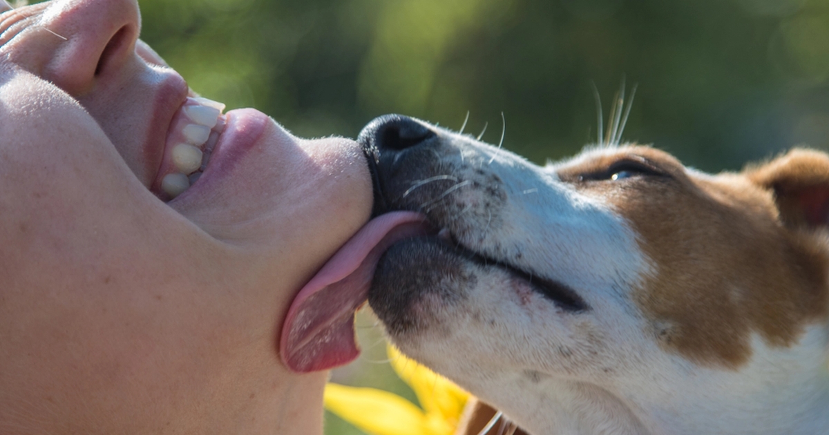 ‘Uskyldig’ smittekilde findes i flere danske hjem: Kan indeholde salmonella