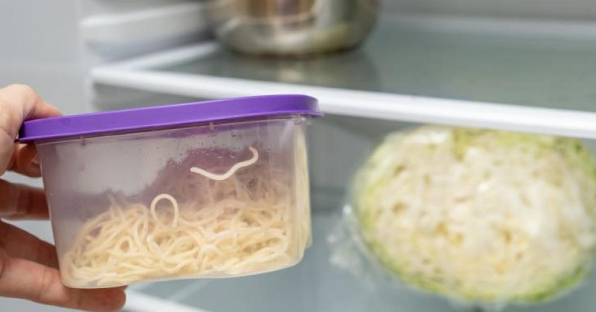 Hun fik sin madpakke stjålet af kollegaen: Så lagde hun en snedig plan