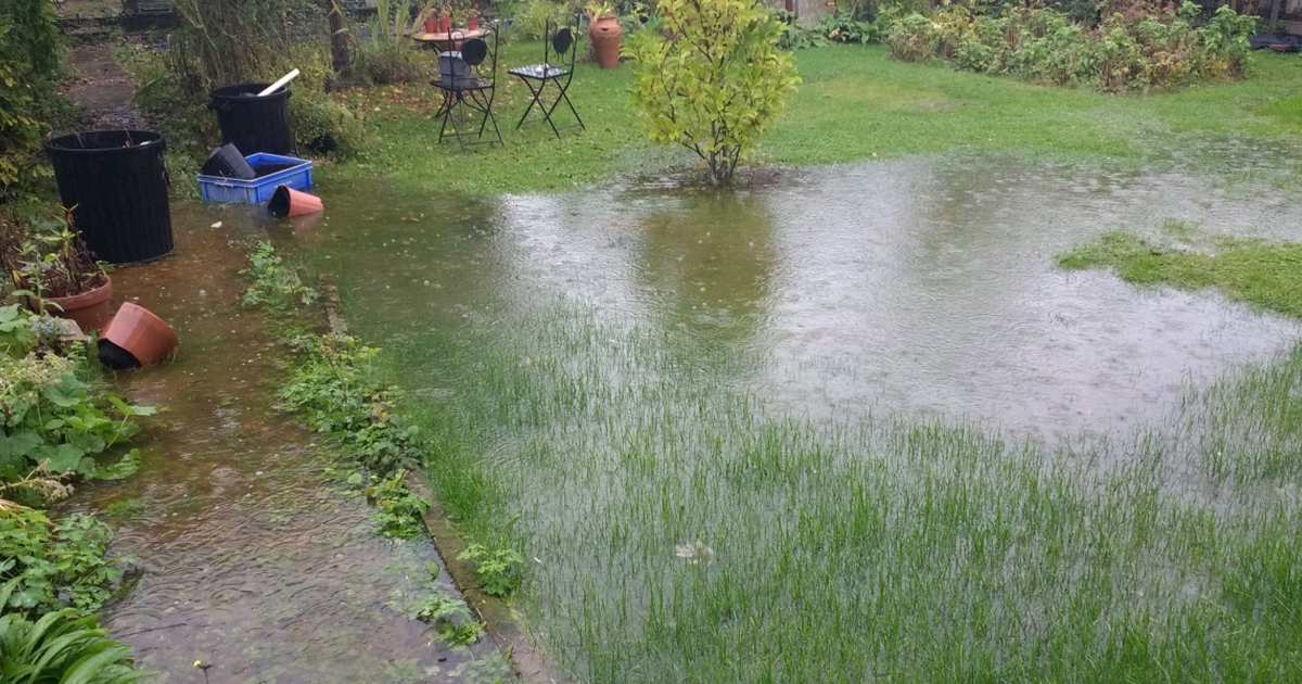 Efterår betyder mere regn: 7 tips til at redde din græsplæne fra at drukne