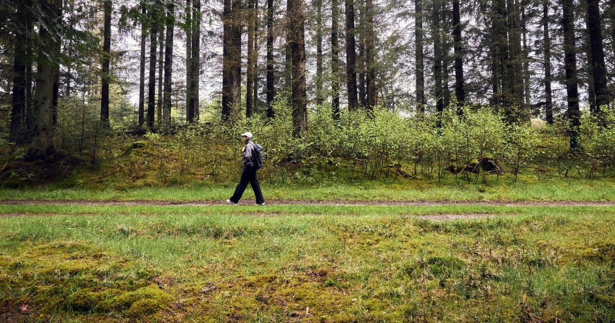 Har du gået Hærvejen? Nu bliver den nemmere at udforske