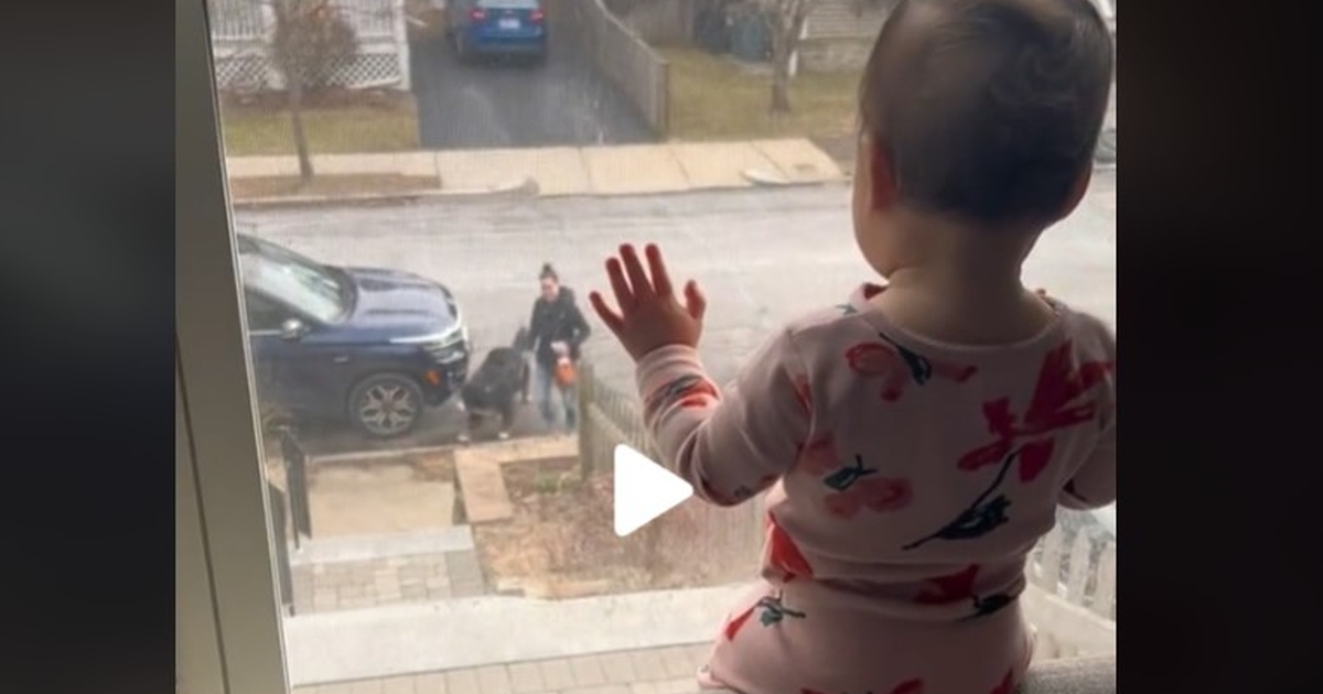 Hund og baby ser hinanden gennem vinduet: Det der så sker vil få dit ...