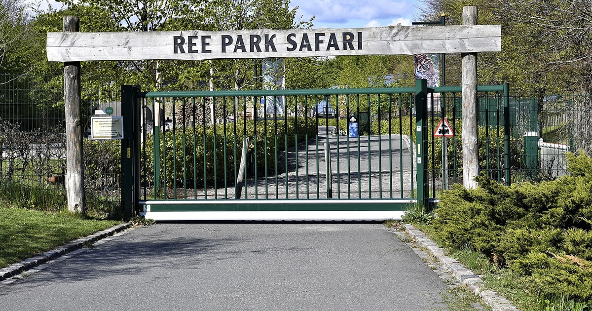 Efter trist meddelelse: Nu deler Ree Park Safari glædelig nyhed