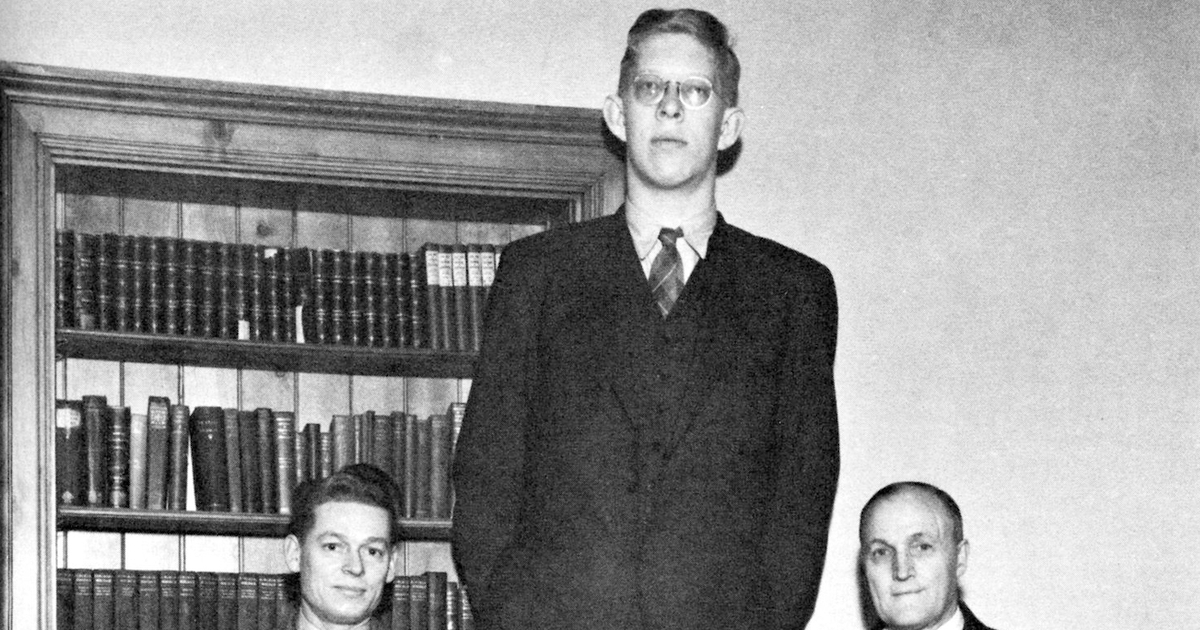 Verdens højeste mand