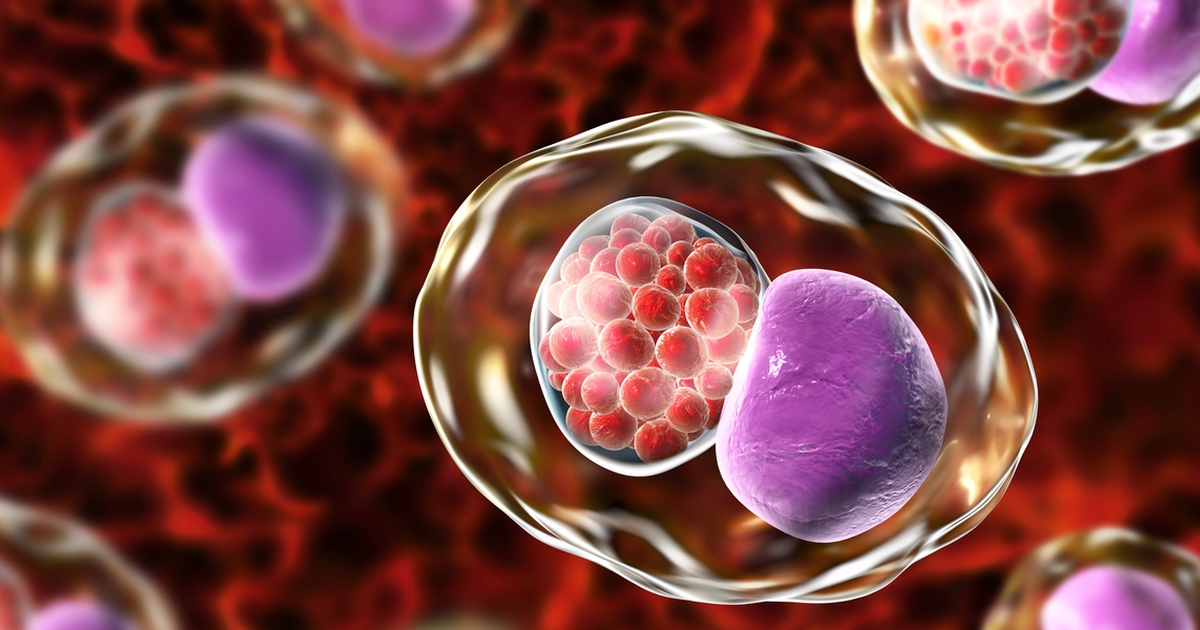 Nyt tiltag: Klamydia skal bekæmpes som COVID-19