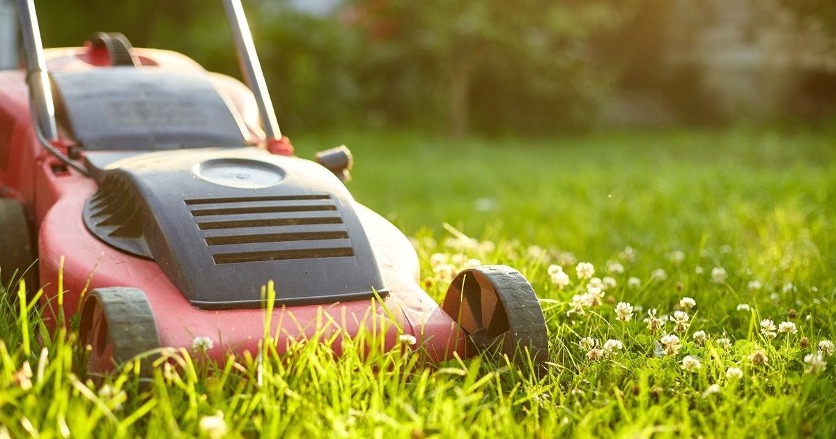 De færreste ved dette? På dette tidspunkt bør man slå græsset for ...