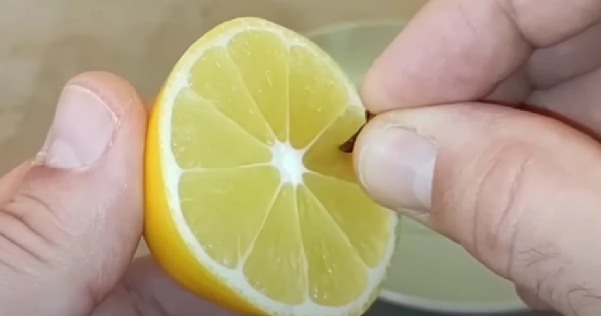 Sitroner finnes på stort sett alle kjøkken - vent til du blander det ...