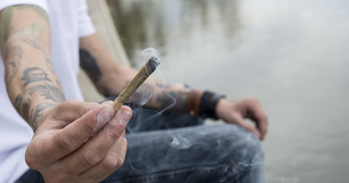 Helt vildt: Bliv betalt for at ryge hash