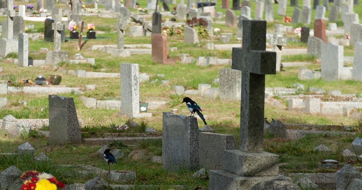 A Village in Italy Offers $1.080 for Cremations Due to Cemetery Space ...