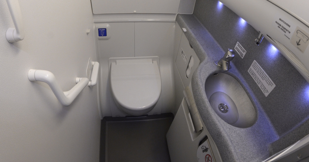 What really happens when you flush on an airplane toilet